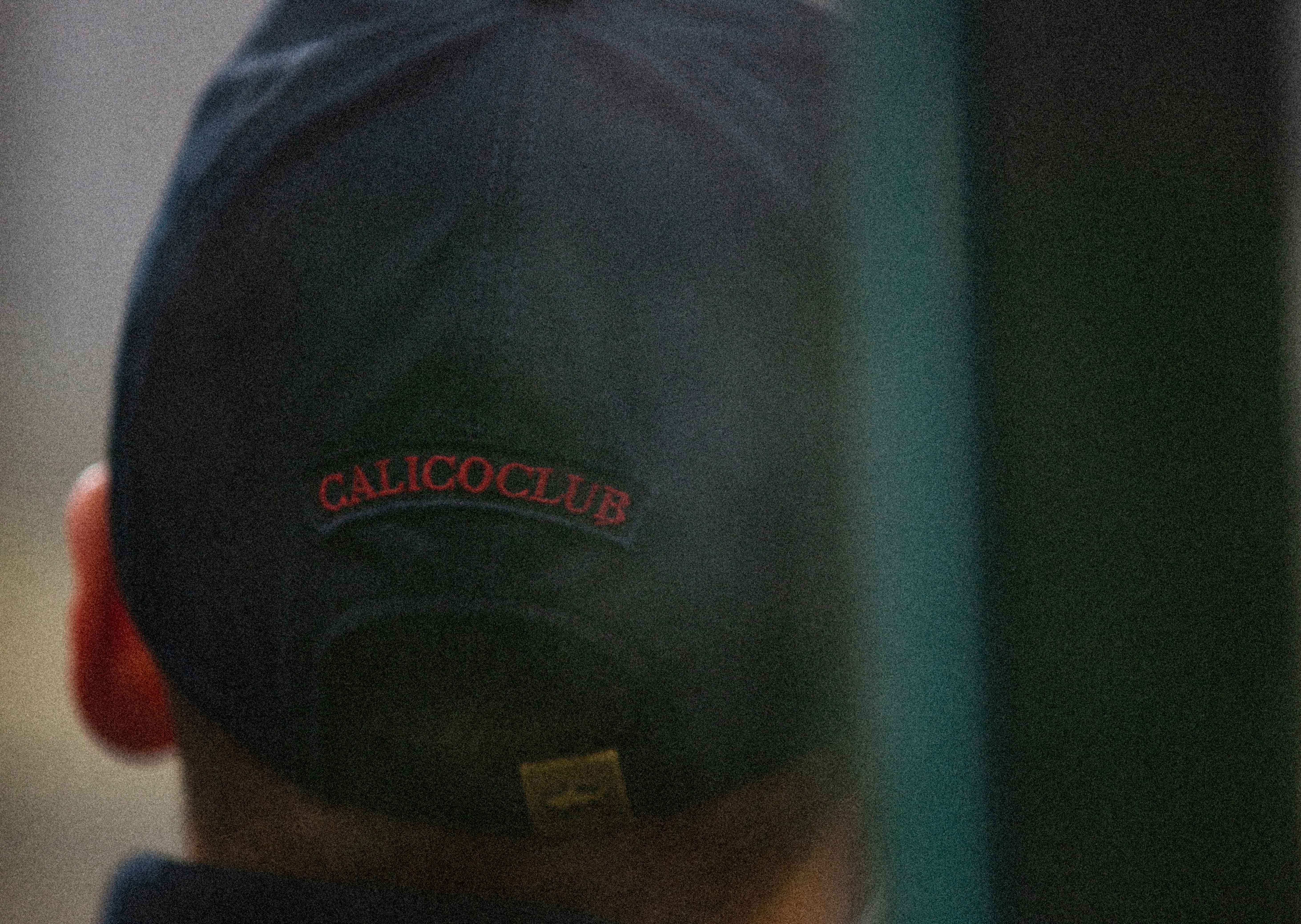 Journal - Calico Club