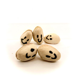 Blog - PistachioLand: Home of the World's Largest Pistachio