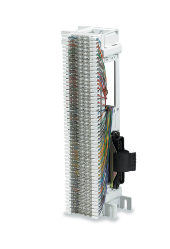 66 Block Wired to 2 Female 25-Pair Telco Connector - 66M1-50F - www ...