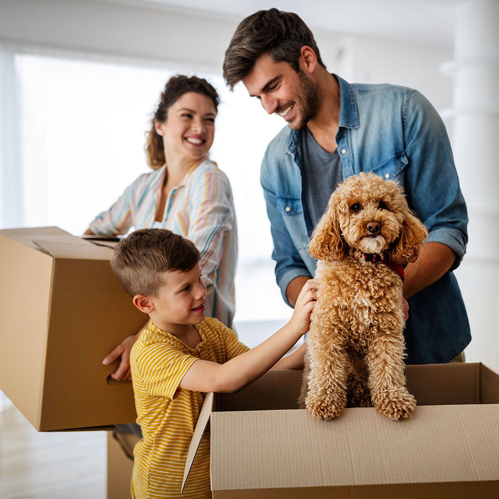 How to Become a Pet Friendly Community - Welcome Home America