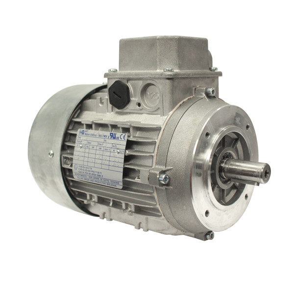 Motor, 1HP, 1700RPM, TEFC Enclosure, 3 Phase, 230/460V, IP56 Rated ...