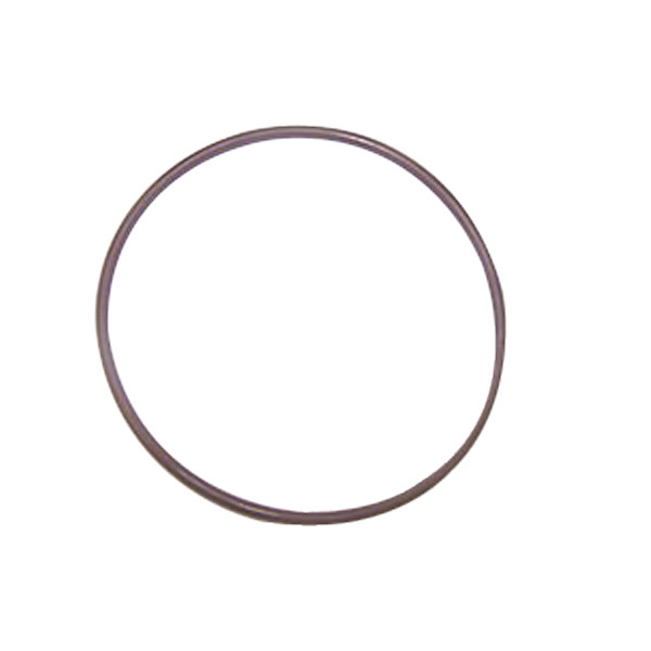 Tank/Cap O-Ring Gasket | Sonny's