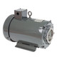 Motor, Power Pack, 10HP, 1770RPM, 215TYZ Frame, TEFC Enclosure, 3 Phase ...