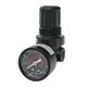 Mini Air Regulator with Gauge, 1/4in FPT, 300PSI, Norgren | Sonny's