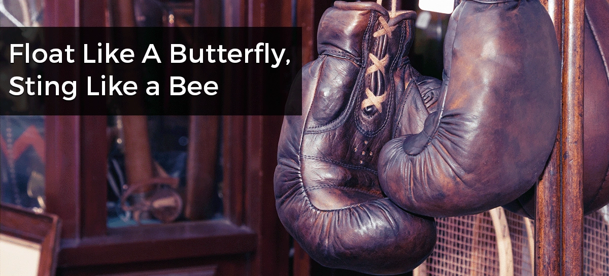 Float Like a Butterfly, Sting Like a Bee - Sonny's Enterprises