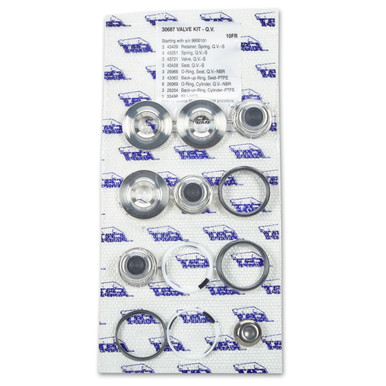 Valve Kit for 620/623/820/1010 Pumps, Cat Pumps 30687 | Sonny's