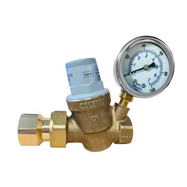 Water Pressure Regulator, 3/4in FPT Inlet and Outlet, 2in Face, Working ...