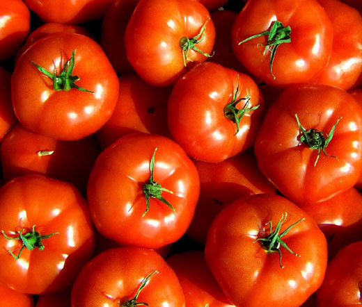 Tomato Marglobe Supreme Lycopersicon Esculentum Seeds