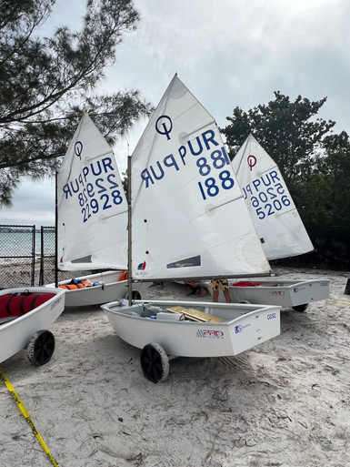 Ex-Charter Devoti Pro Optimist