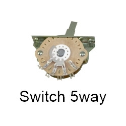 Switch, 5 Way Lever