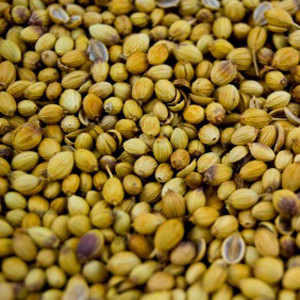 Coriander Seed
