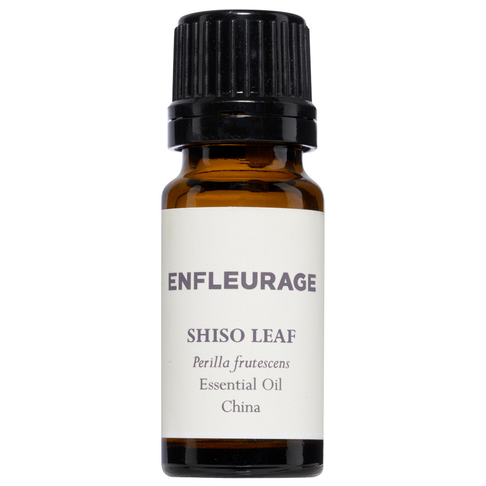 Shiso Leaf Essential Oil, China