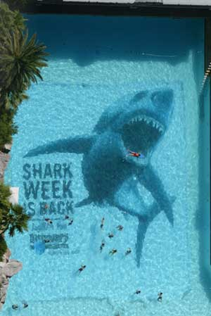 Facts About Custom Pool Art that Will Impress Your Friends - AquaArt