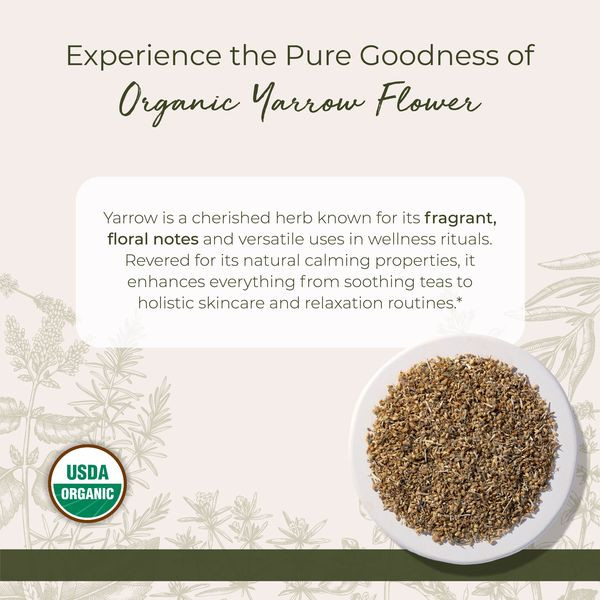 Yarrow Flower Cut and Sifted Organic