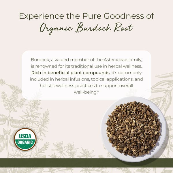 Burdock Root Cut and Sifted Organic | Starwest Botanicals