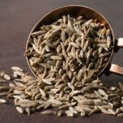 Potential Benefits of Cumin | Starwest Botanicals - Starwest Botanicals