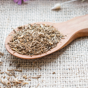 Valerian Benefits for Better Health & Sleep | Starwest Botanicals ...
