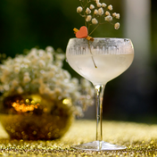 The Best Elderflower Liqueur Recipe | Starwest Botanicals - Starwest ...