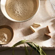 The Potential Benefits of Slippery Elm - Starwest Botanicals