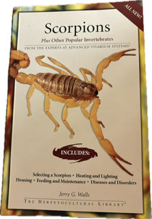 Tarantula book