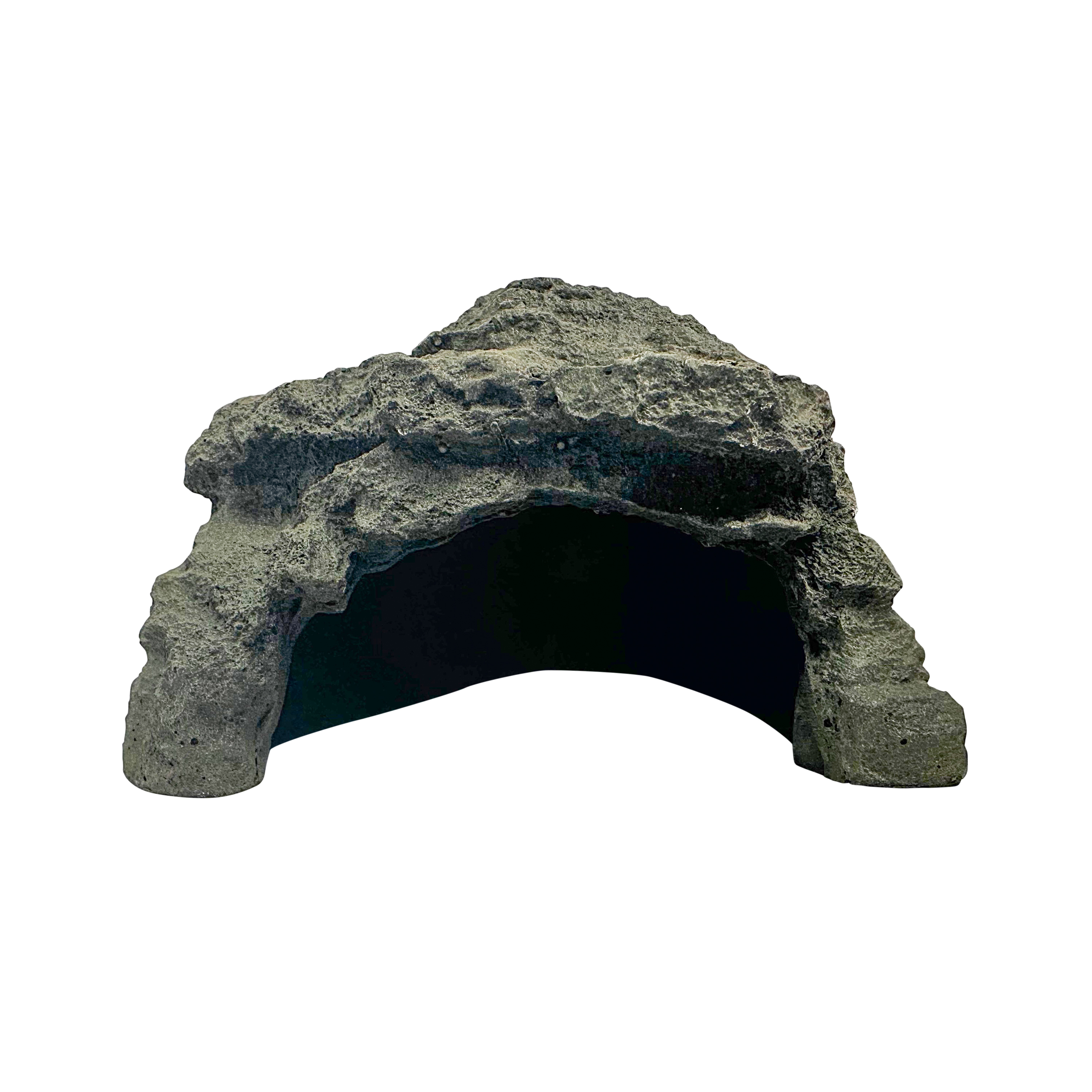 The importance of a good hide - Bio Supplies