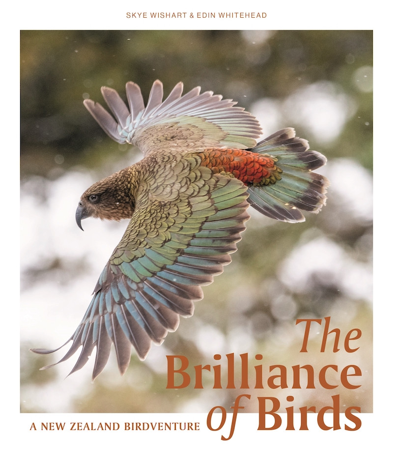 Aotearoa Books | The Brilliance of Birds: A New Zealand Birdventure