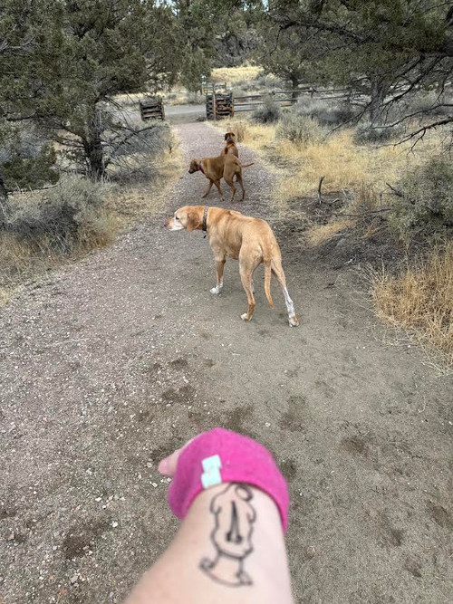 Temporary Tattoos! Rhodesian Ridgeback Tattoo