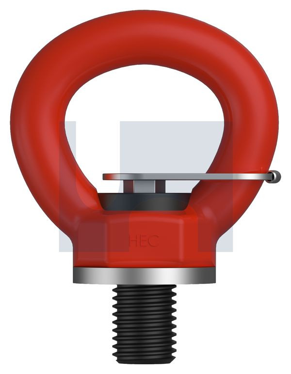GR100 SWIVEL EYEBOLT: M10