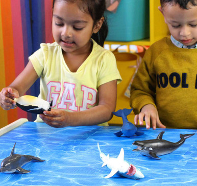 Medium Sea Creature Toys - Set of 6 | Talking Turtle AU