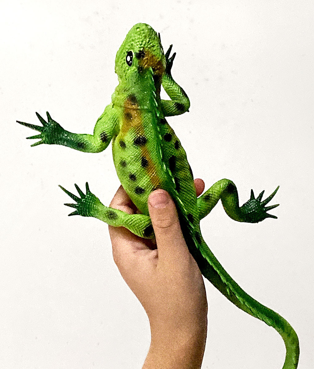6 Lizard Toys for Children - Talking Turtle