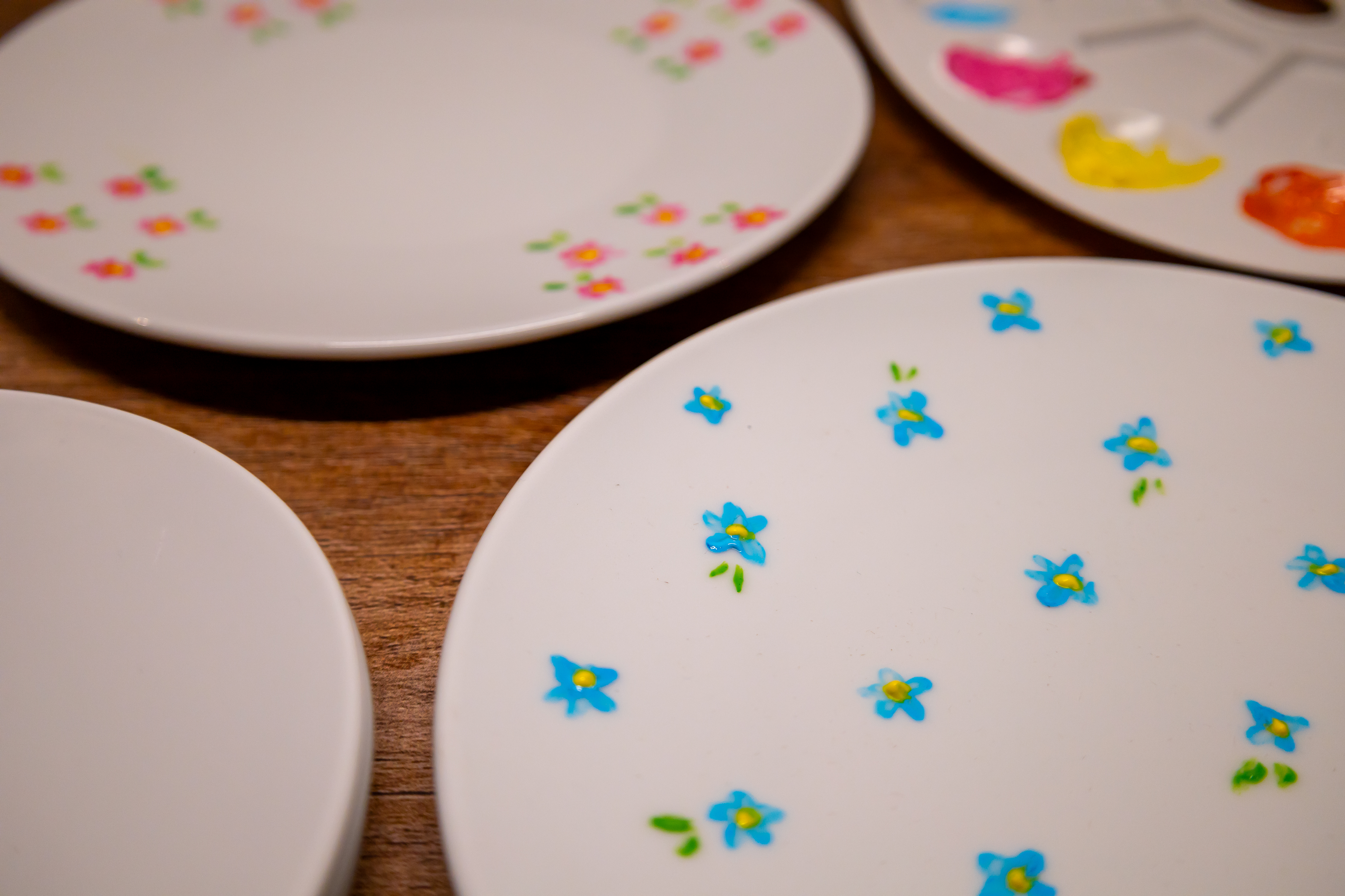 DIY Porcelain dinnerware painting: make your own unique dinnerware ...
