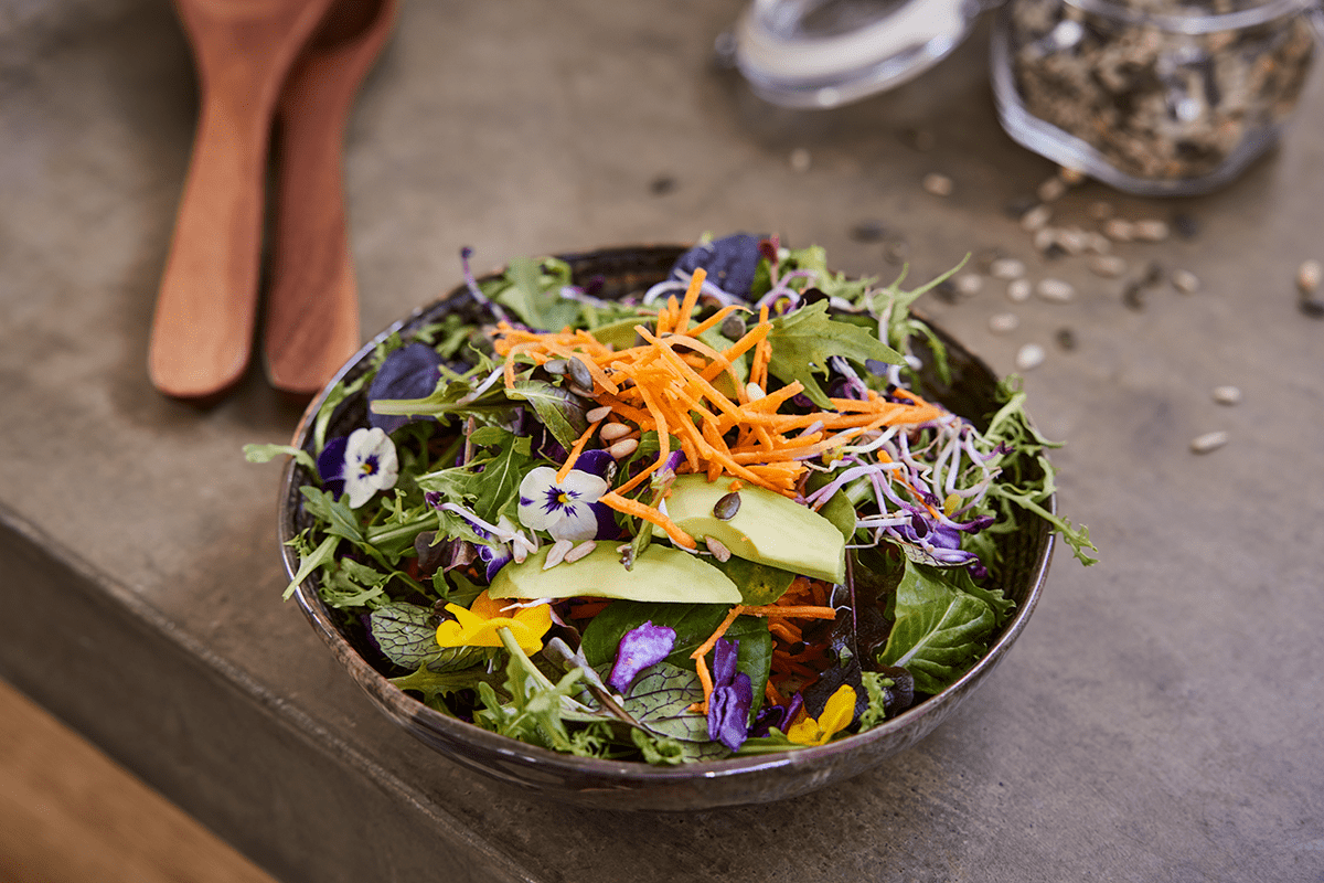 Ein gesunder Salat für jeden Tag – James Cooke