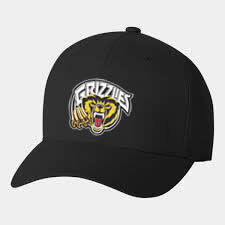 JDF Grizzlies - Flex Fit Hat