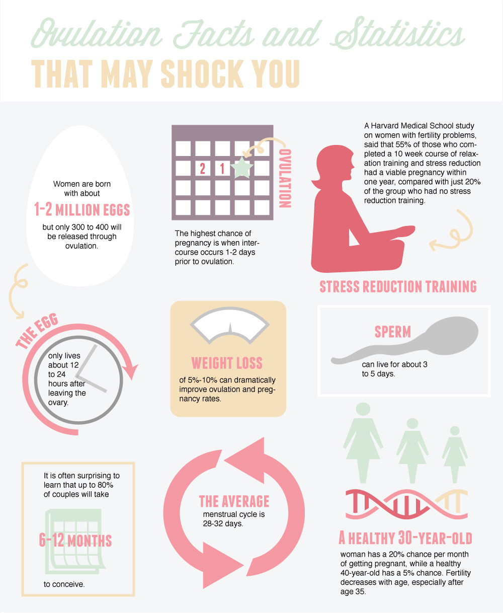 Ovulation Facts and Statistics...That May Shock You - fertility store