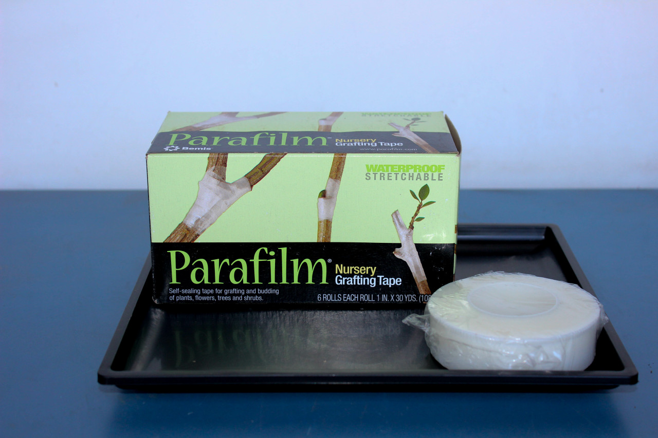 Quality Amcor Parafilm® Grafting Tape, self adhesive - 1" Wide Roll
