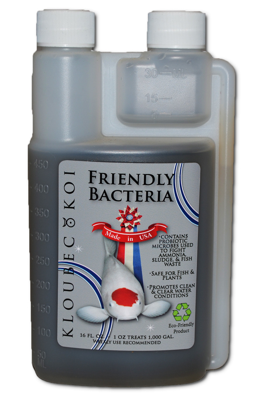 Koi Pond Bacteria | Friendly Bacteria | Kloubec Koi Farm
