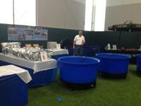 Transporting Fish to a Koi Show - Kloubec Koi Farm Store