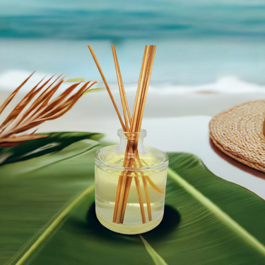 Amalfi Coast Reed Diffuser - Saltylicious® Bath Body and Beauty ...
