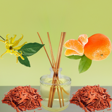 Eau So Manly Reed Diffusers - Saltylicious® Bath Body and Beauty Products Pty Ltd