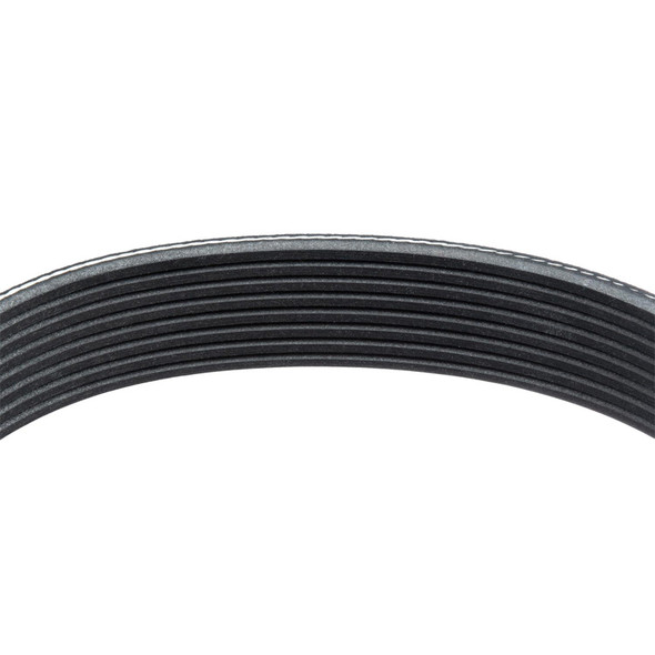 Freightliner Columbia Engine Belts | Raney's Truck Parts