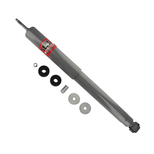 International 4200 4300 4400 DuraStar Shock Absorbers | Raney's Truck Parts
