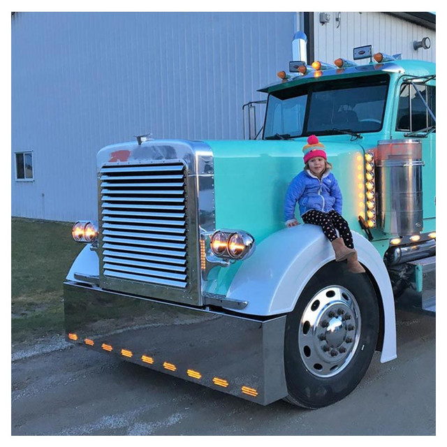 Peterbilt 379 Grill Surround Trim Set Stainless Extended Hood - Raney's ...