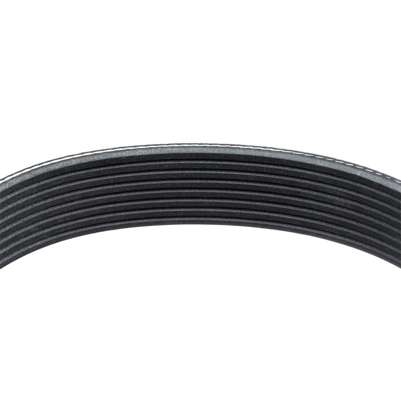 Freightliner M2 Business Class Engine Belts | Raney's Truck Parts