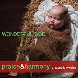 Praise & Harmony CD - Wonderful God - CEI Bookstore | Truth Publications, Inc.