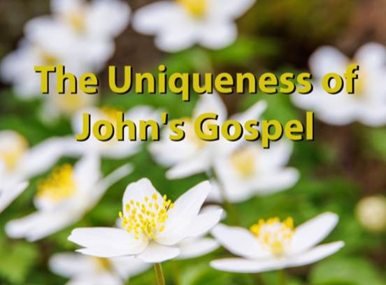 Truth Magazine - THE UNIQUENESS OF JOHN’S GOSPEL: A Unique Savior by ...