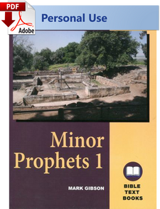 BTB Minor Prophets 1 pdf, digital workbooks