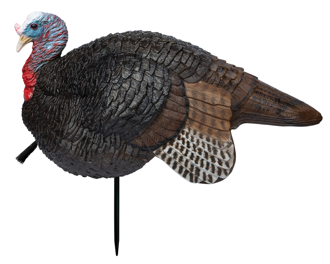 Primos 69074 Lil' Gobstopper Jake Turkey Species Multi Color ...