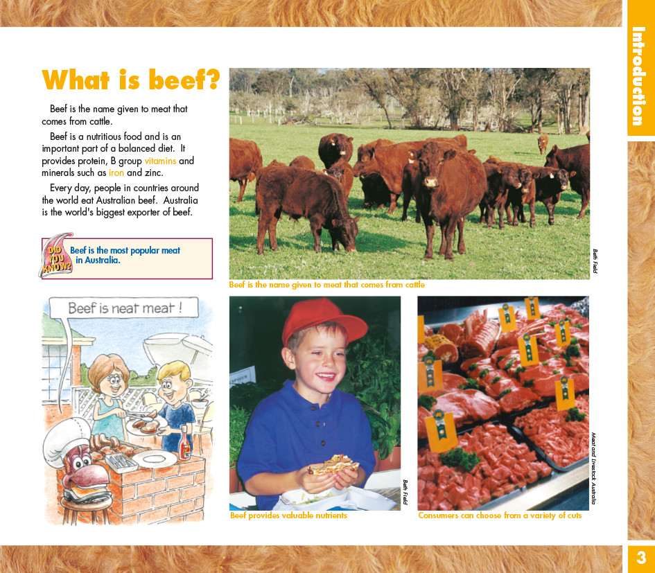 The Story of Beef - Kondinin Group Bookstore
