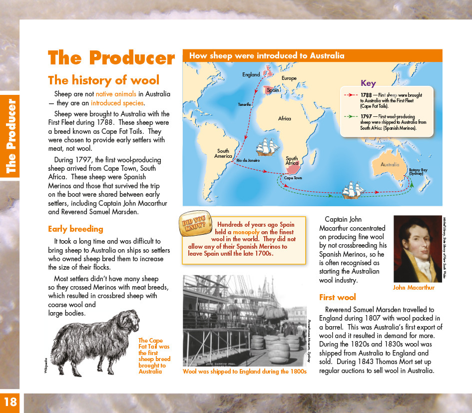 The Story of Wool - Kondinin Group Bookstore