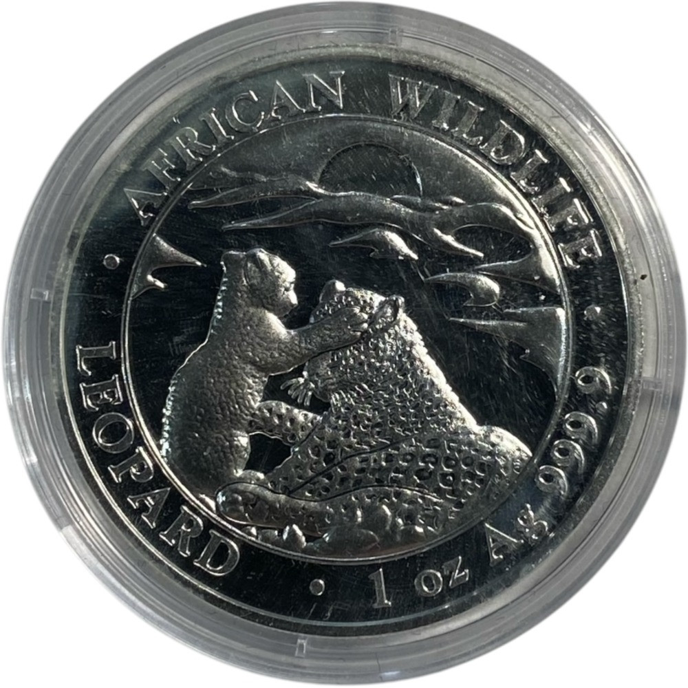 Somalia: 2019 100 Shillings African Wildlife: Leopard 1 oz Silver Coin ...